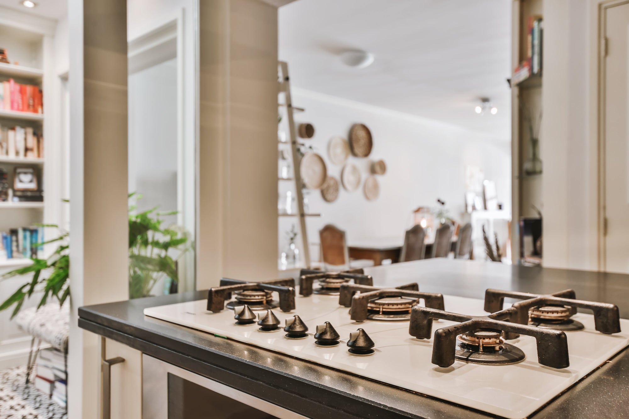 A Guide to Cooktop and Range: Which is Best? - THOR Kitchen