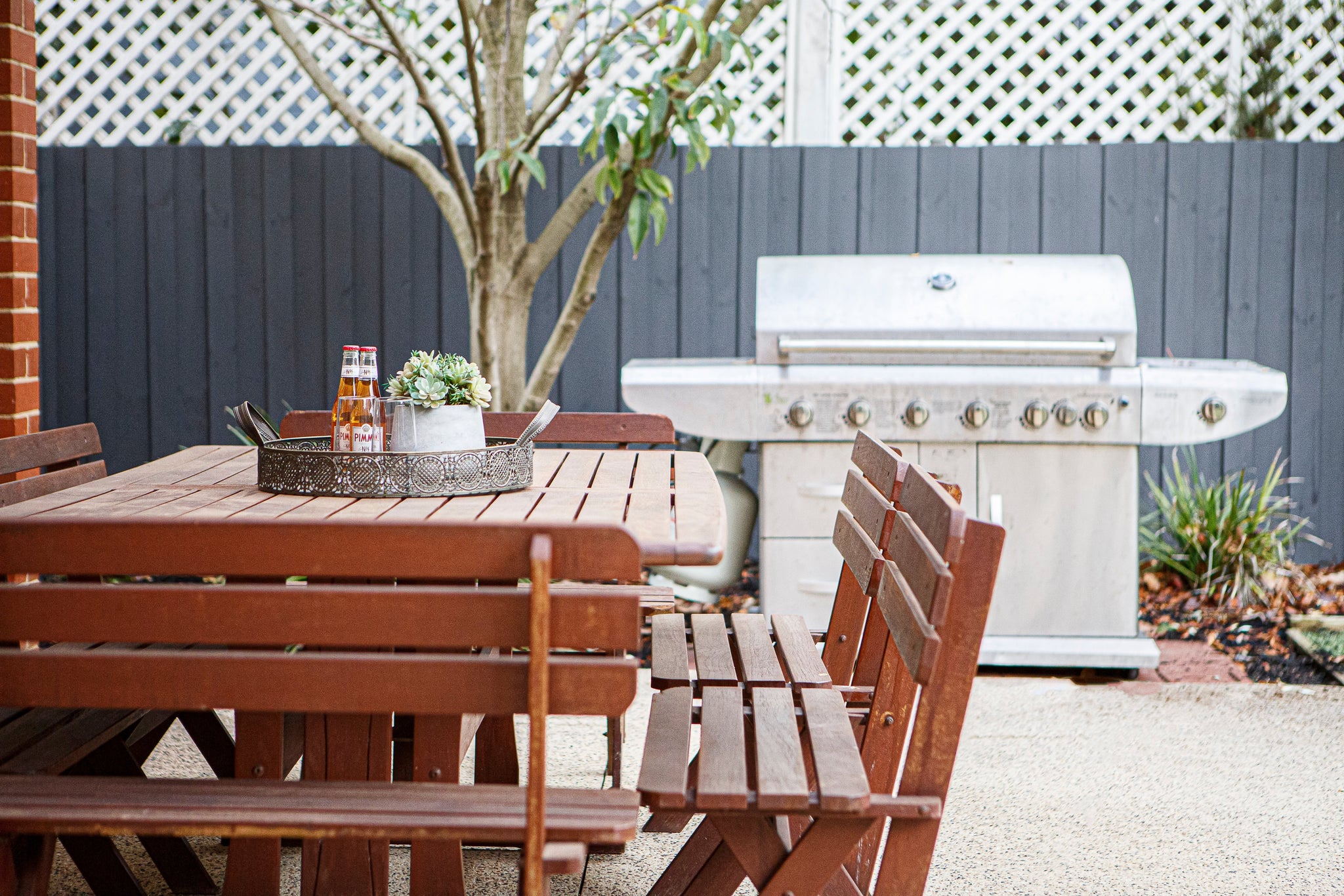 Brighten an Outdoor Kitchen Suite with Bistro String Lights - THOR Kitchen