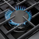 Buy 30 Inch Stainless Steel (Liquid Propane) Professional LP Range ...